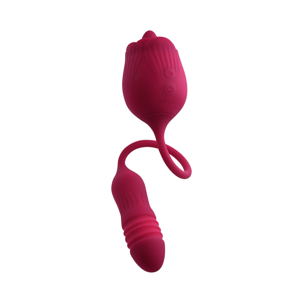 Evolved Wild Rose Red