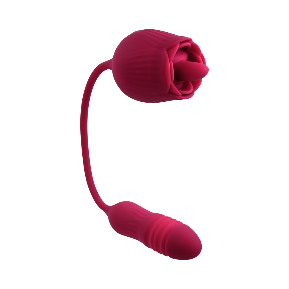 Evolved Wild Rose Red