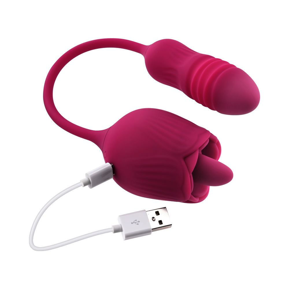 Evolved Wild Rose Red